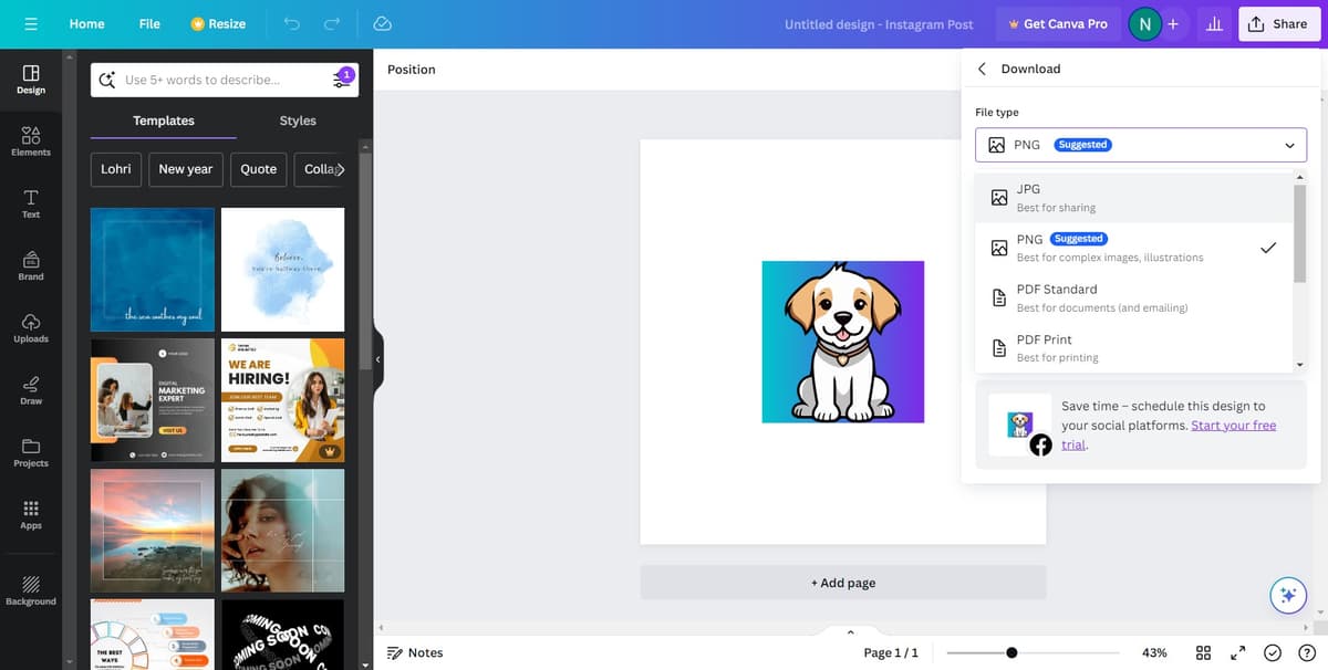 How to Save Design in Canva | Step-by-Step